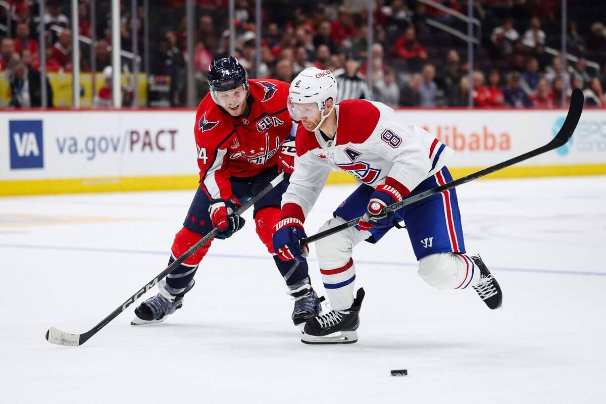 Le CH affamé: tout a changé le soir de l’Halloween à Washington - TVA ...