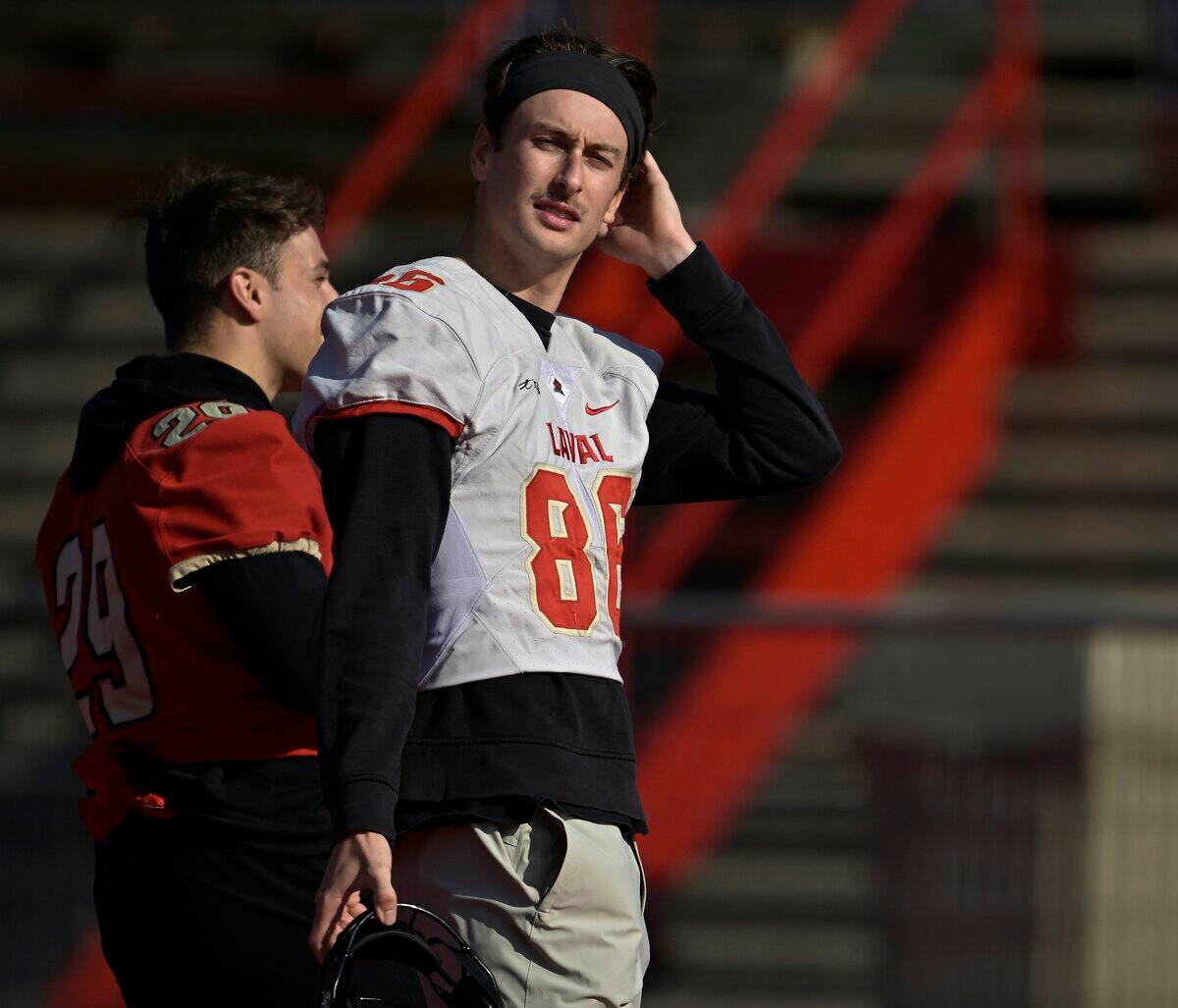 RSEQ, Football Universitaire Québecois | Infos, Stats & Vidéos - TVA Sports