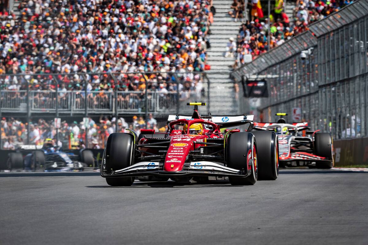 Formule 1: une marmotte a presque ruiné la course de Lewis Hamilton ...