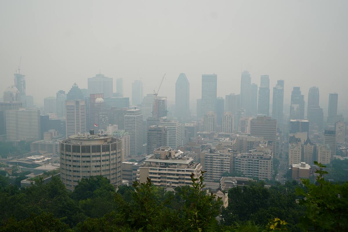 Est-ce que respirer du smog revient vraiment à fumer des cigarettes ...
