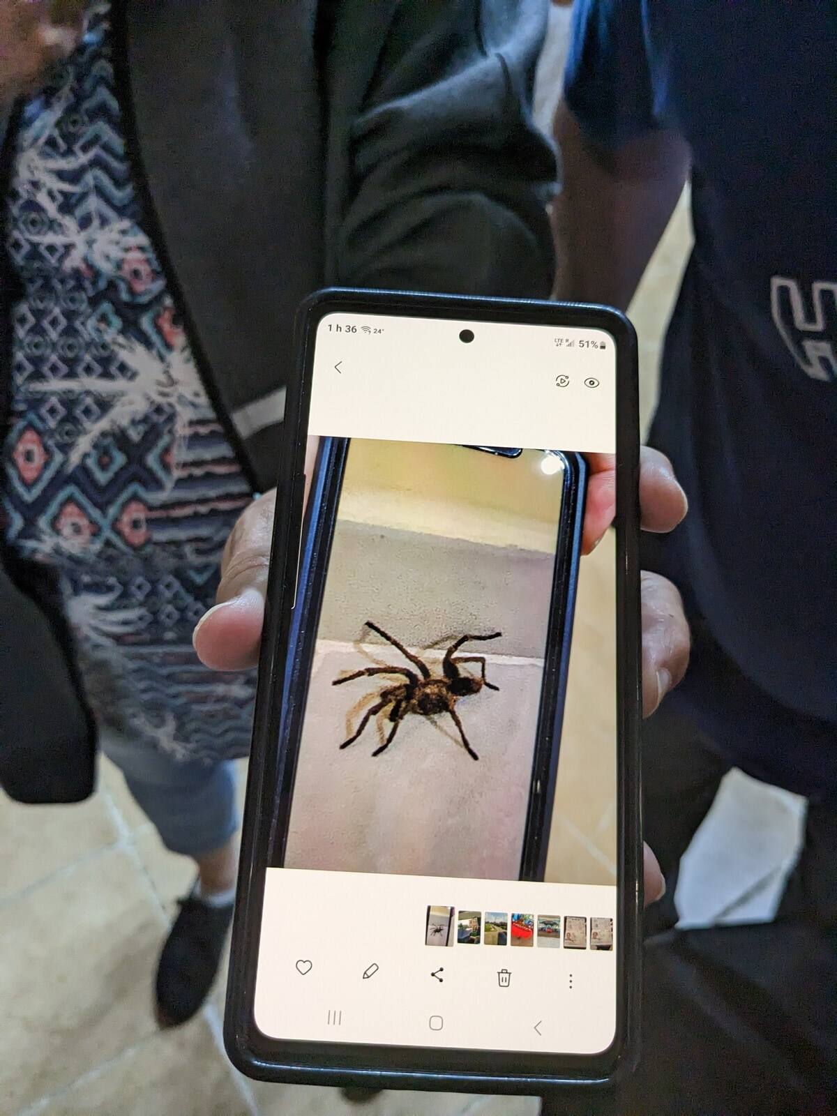 Des Québécois coincés à Cuba: «Sunwing nous a laissés dans un trou de merde» | JDM