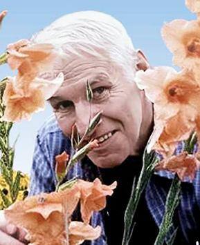 SIGOUIN, Pierre | Le Journal de Montréal