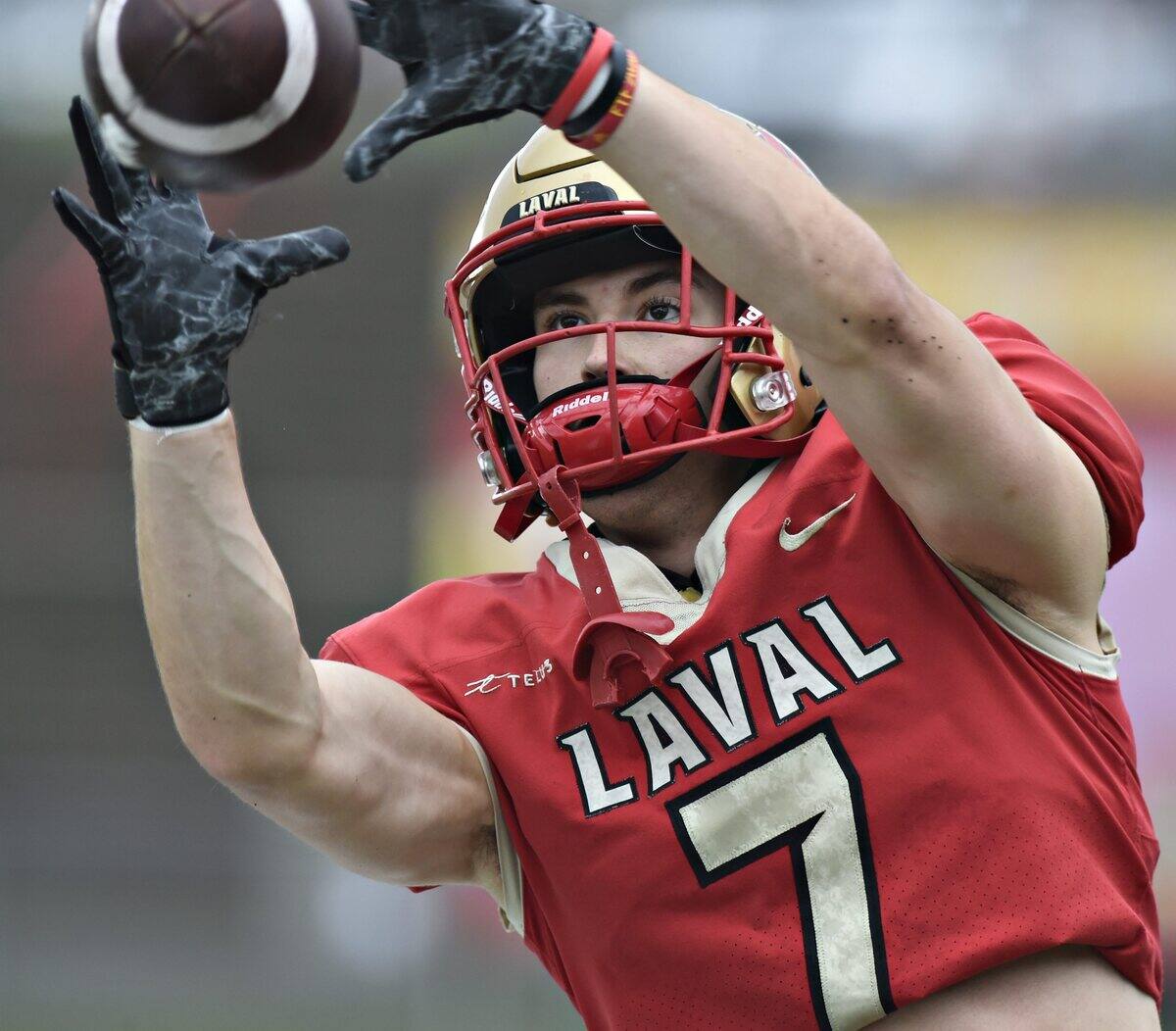 Football du Rouge et Or | Le Journal de Québec