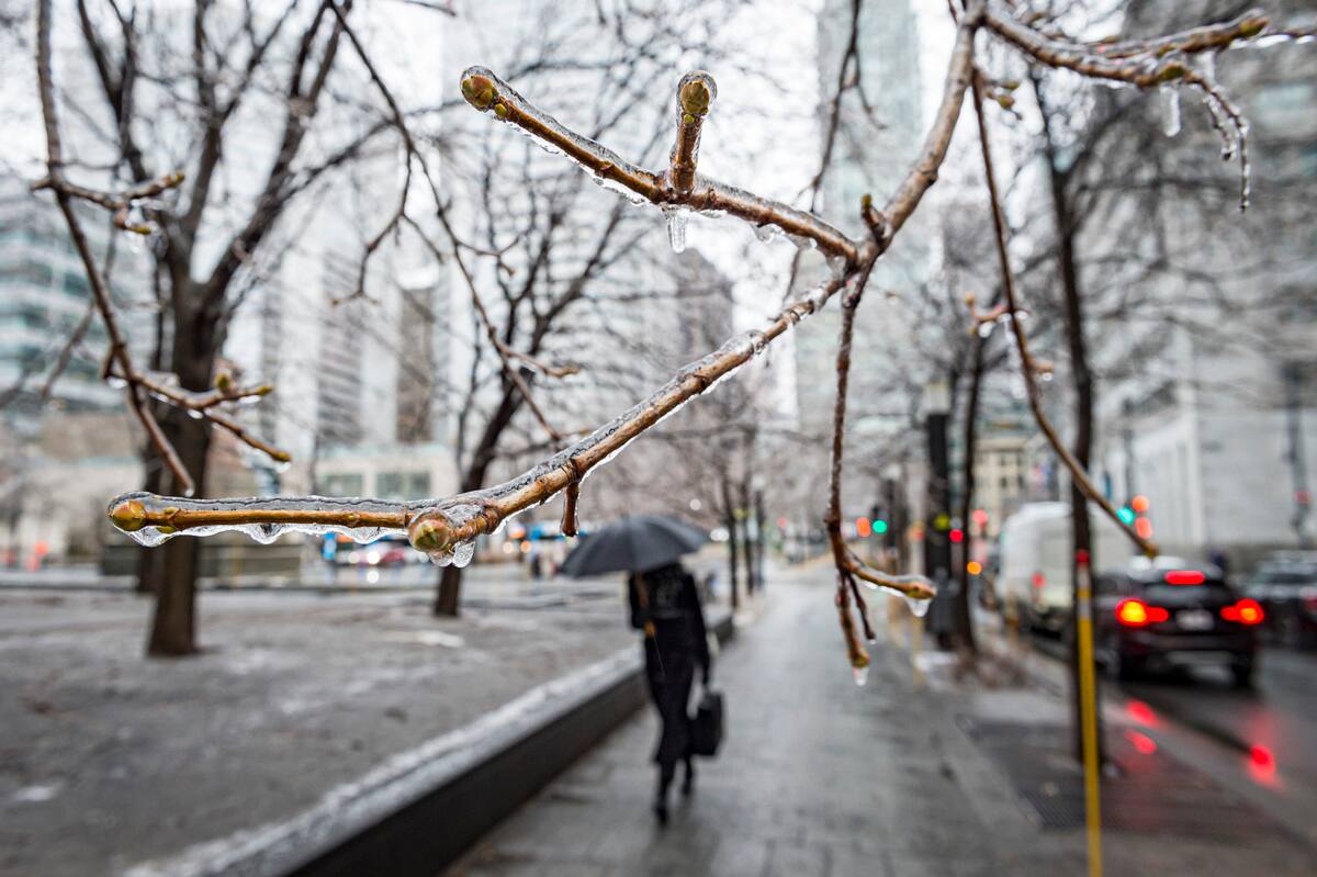 L’une des pires tempêtes de verglas depuis 1998 fige le sud du Québec ...