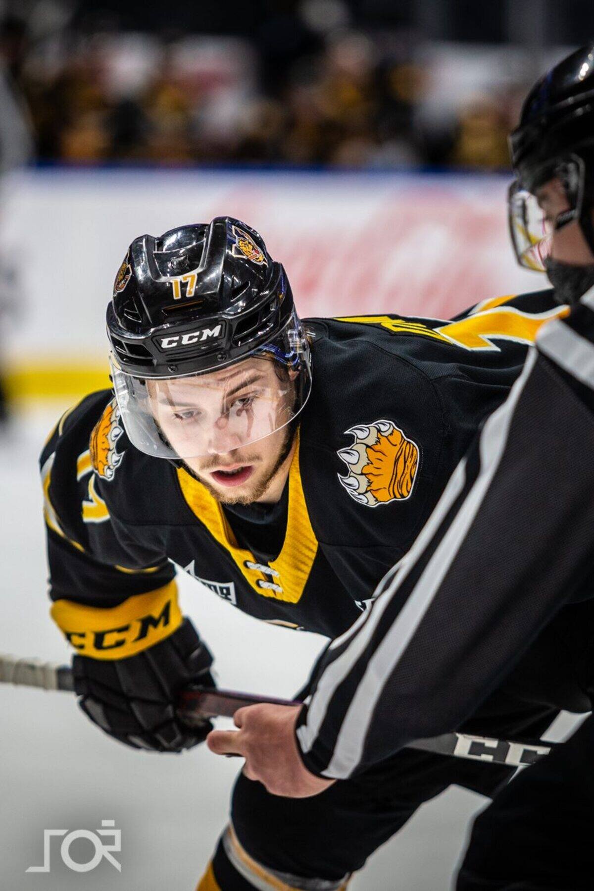 Accusé d'agression sexuelle, Nicolas Daigle a tenté un retour au hockey ...