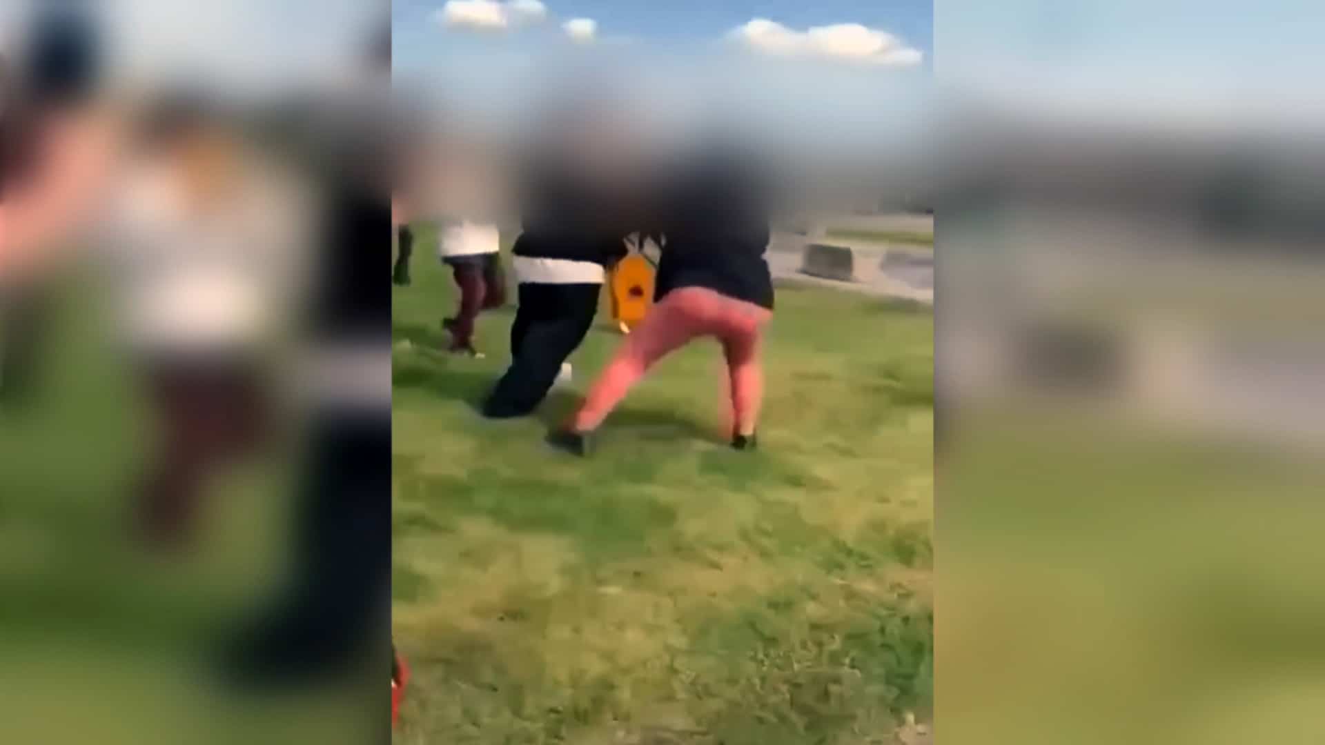 VIDÉO | Violente bagarre entre élèves filmée: «toute la gang autour disait bats-la, bats-la ...