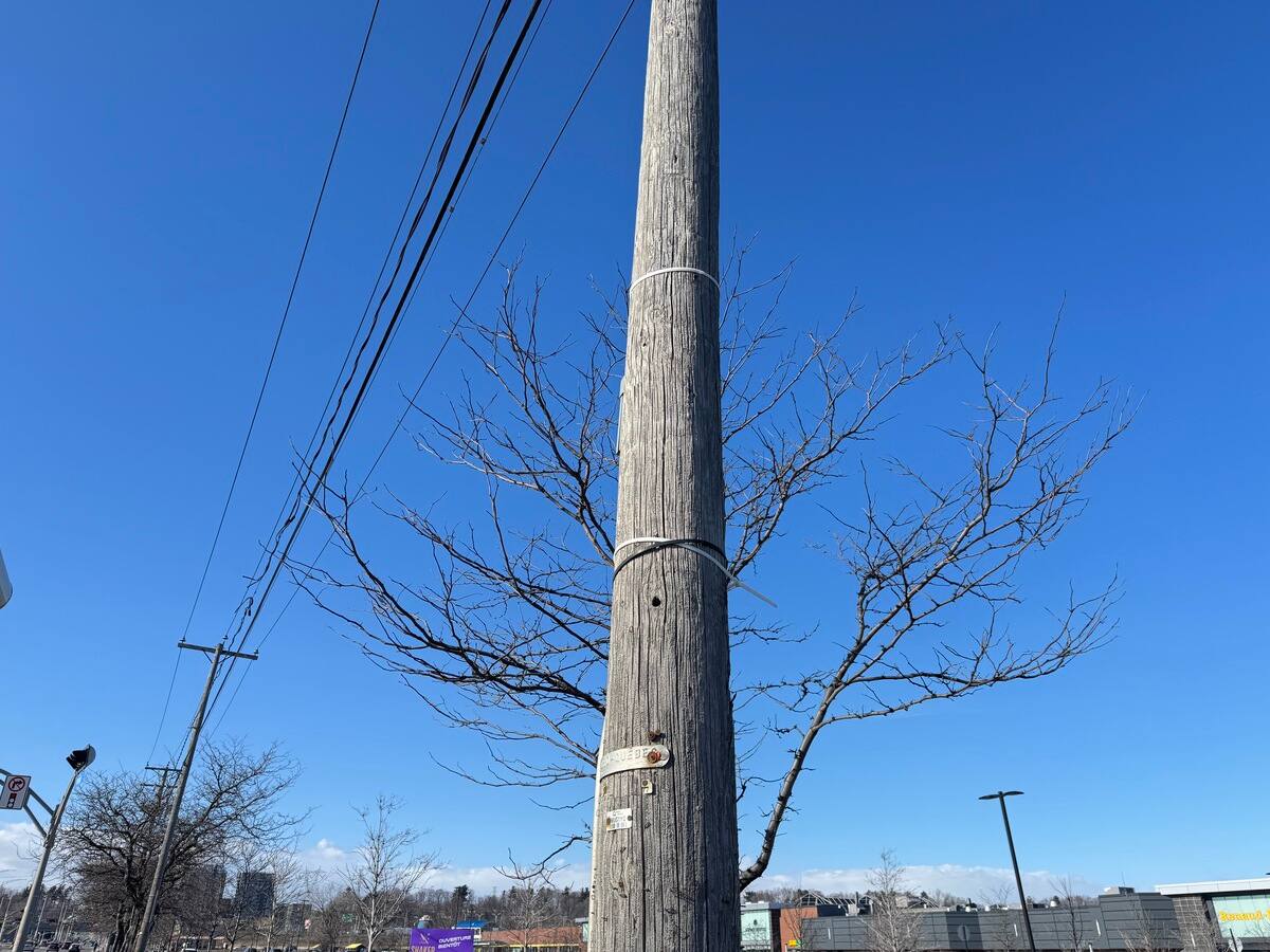 Des affiches de la candidate bloquiste dans Terrebonne vandalisées | JDM