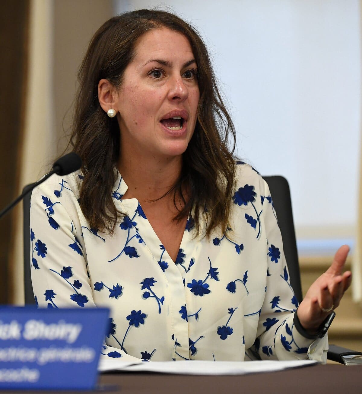 Partielle dans Jean-Talon: Marie-Anik Shoiry portera les couleurs de la CAQ | JDQ