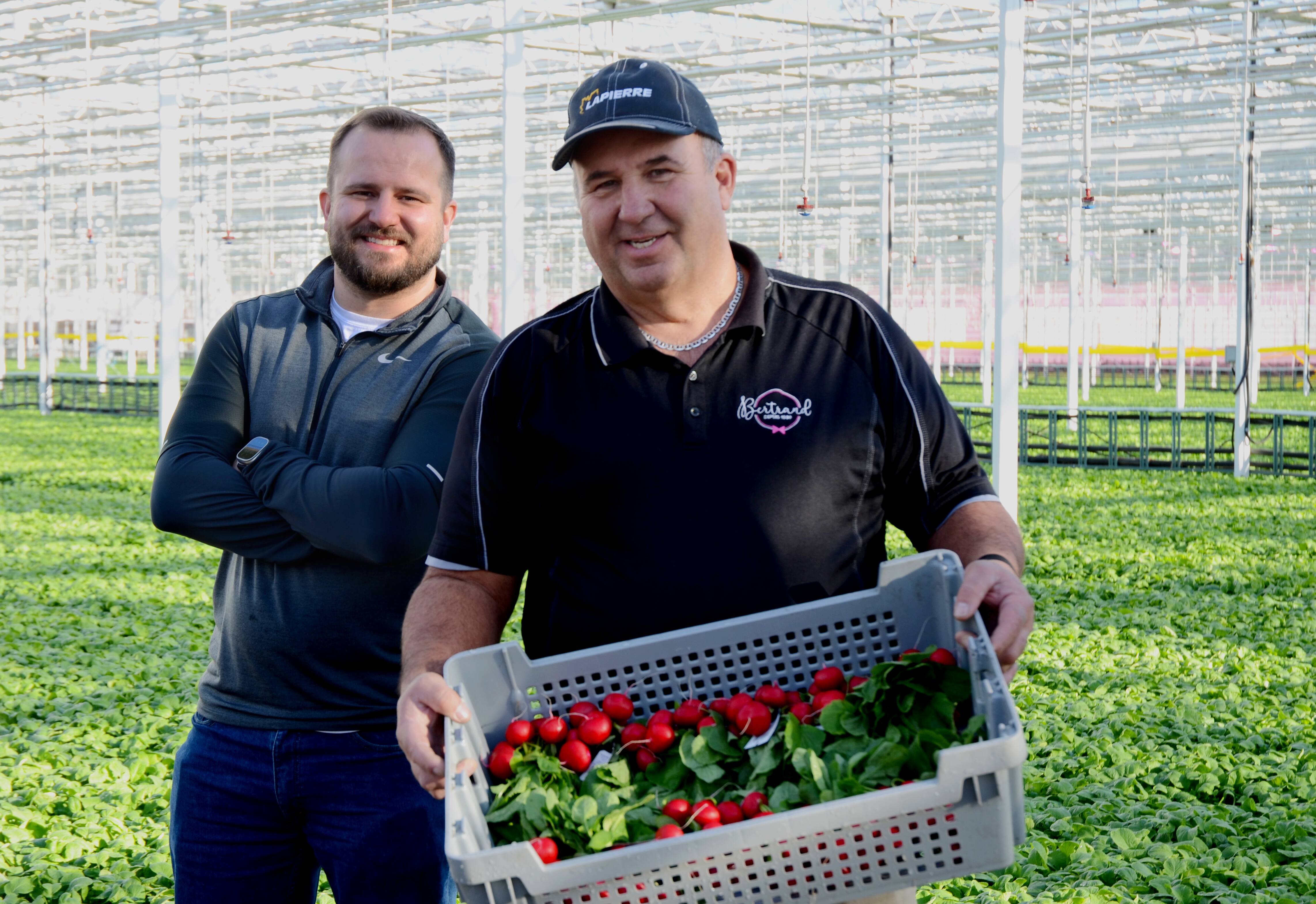 Après le cannabis, la culture du radis | JDM