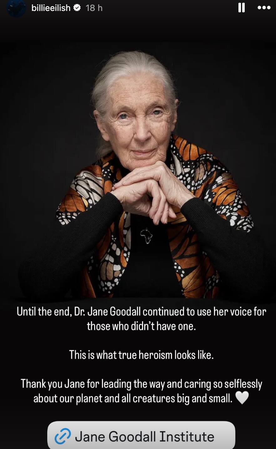 Leonardo DiCaprio, Michelle Pfeiffer, Tom Hanks, Natalie Portman, Jane Fonda, David Beckham ...