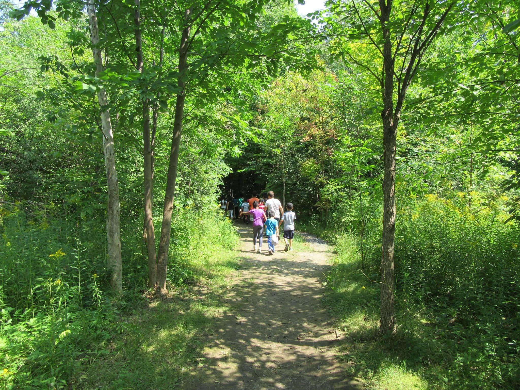 10 endroits gratuits et magnifiques où faire de la randonnée au Québec ...