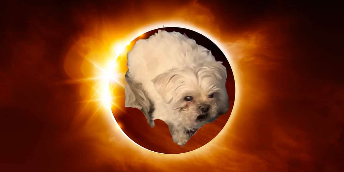 Bouette s’en c***sse de l'éclipse | QUB | QUB info