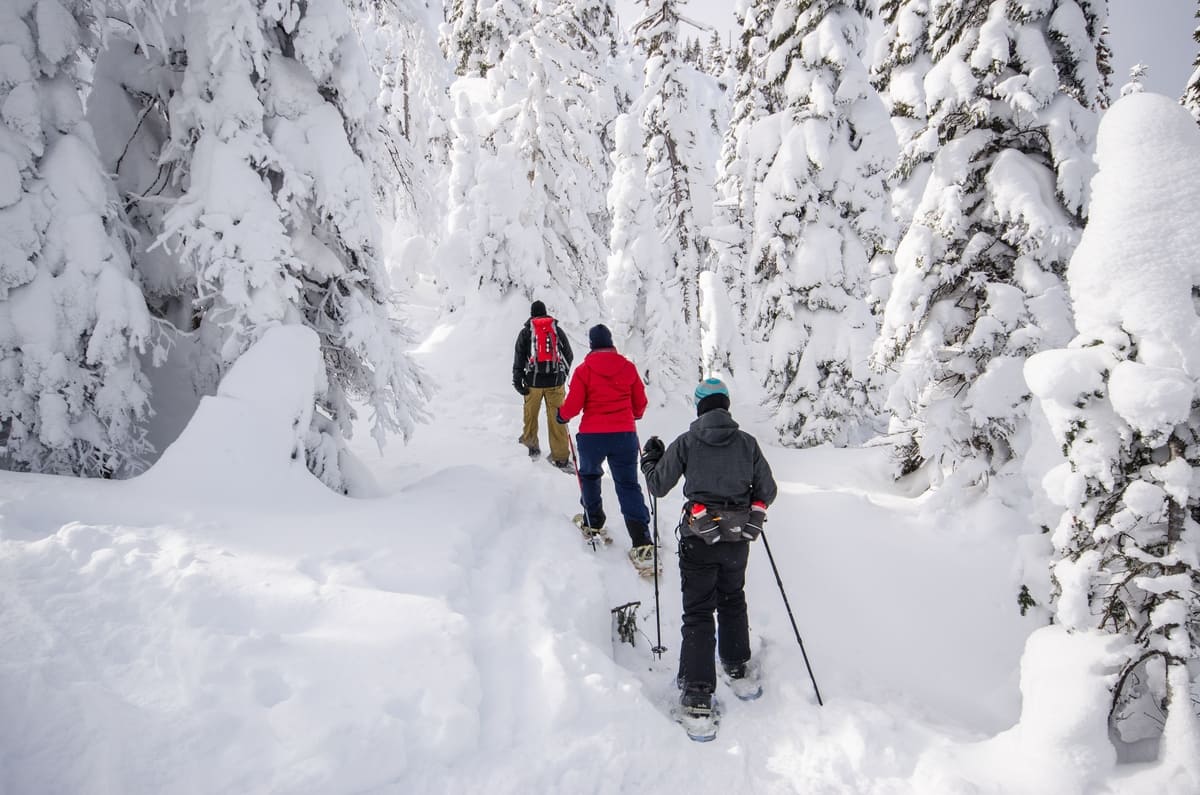 Les 5 plus beaux parcs nationaux à voir en hiver au Québec | JDM