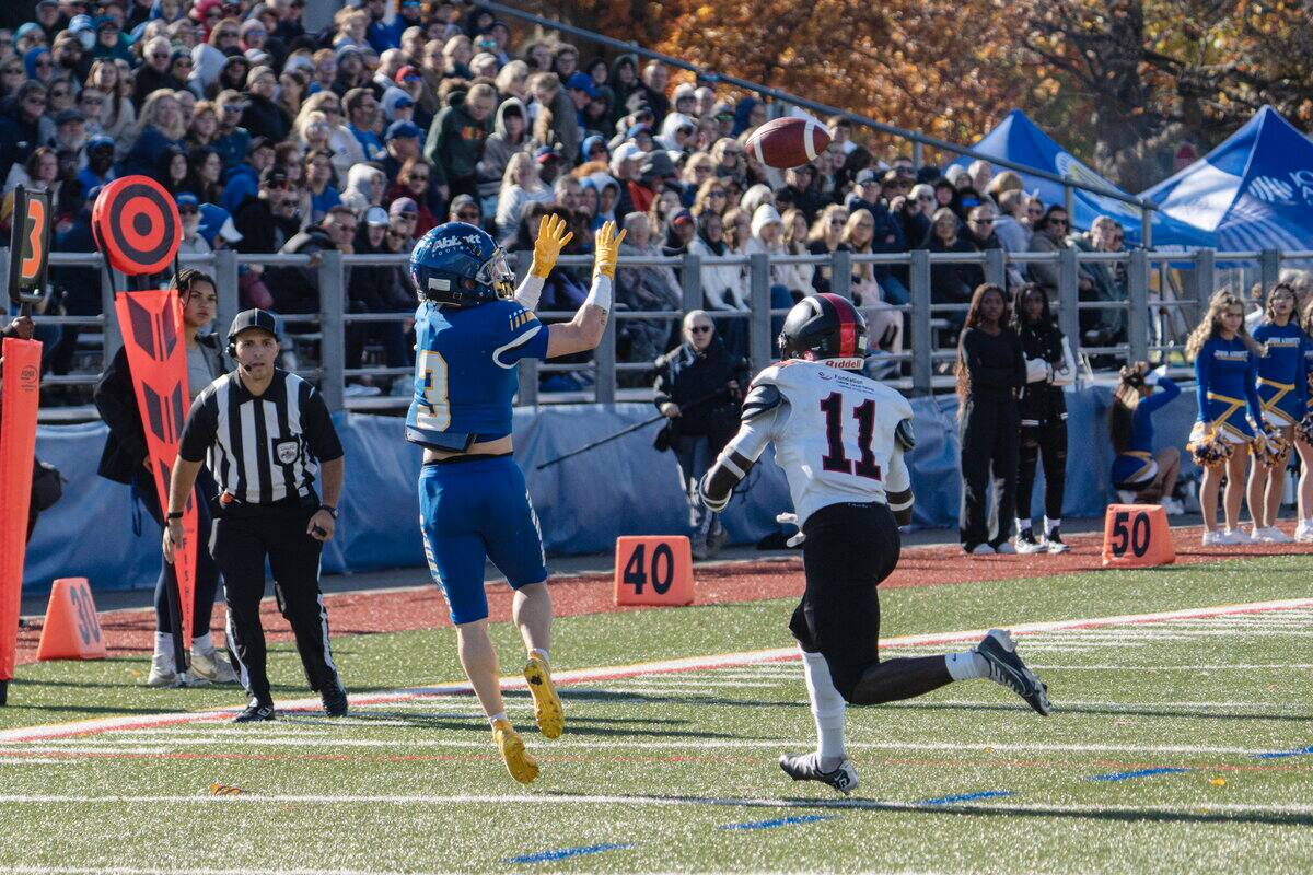 RSEQ, Football Universitaire Québecois | Infos, Stats & Vidéos - TVA Sports