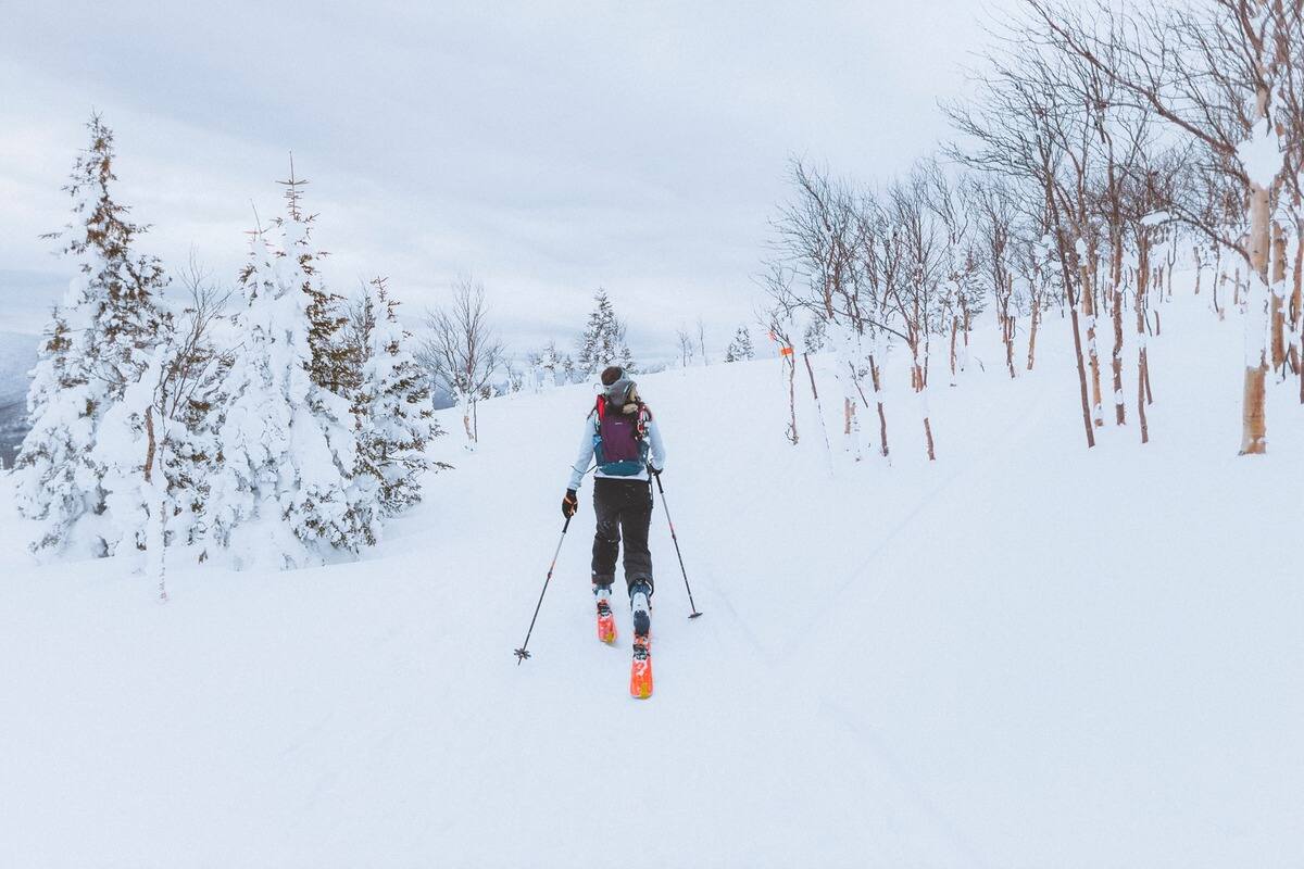 Les 5 plus beaux parcs nationaux à voir en hiver au Québec | JDM