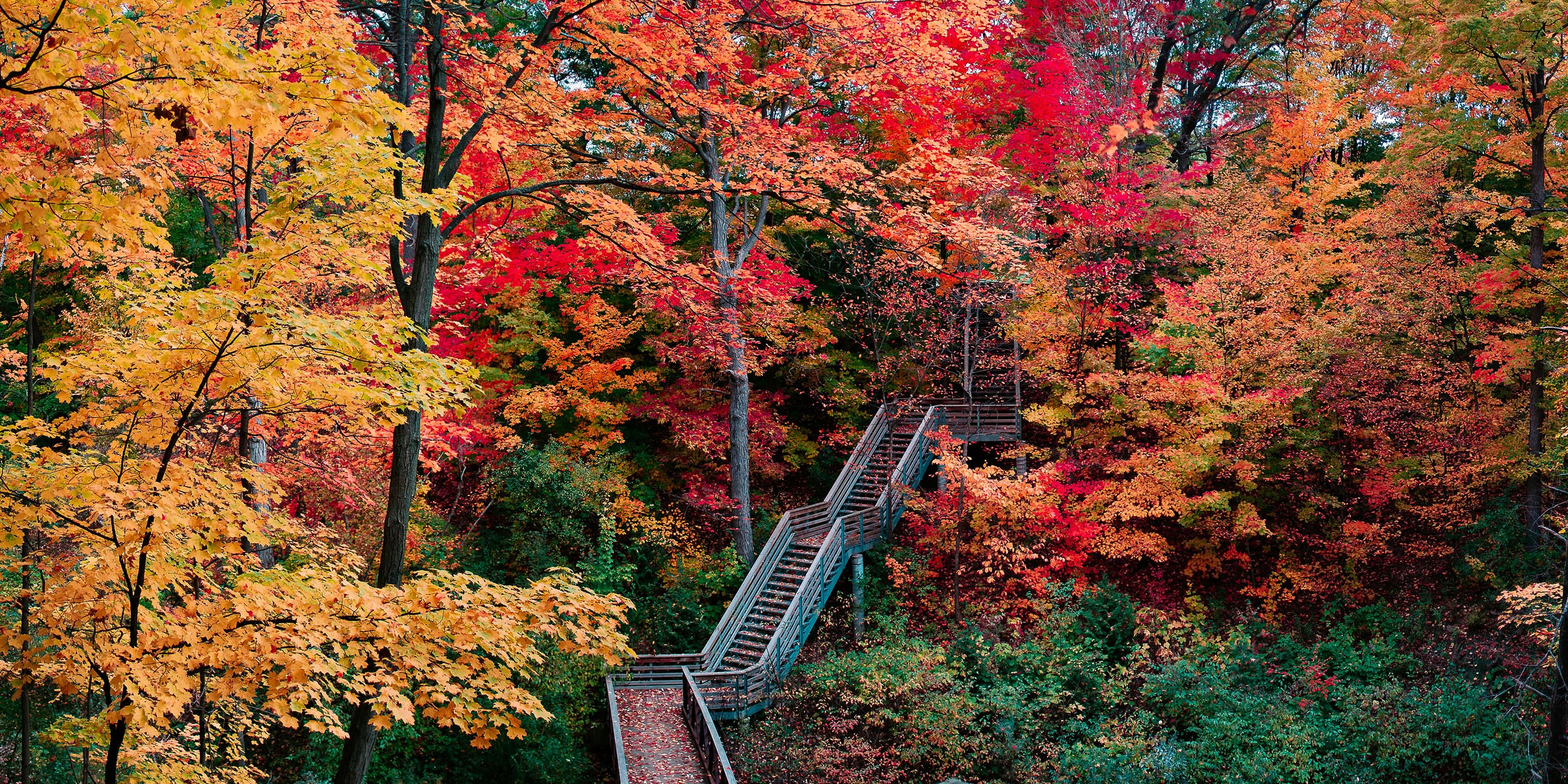 Recrudescence des cas de virus respiratoires cet automne: voici l’état ...