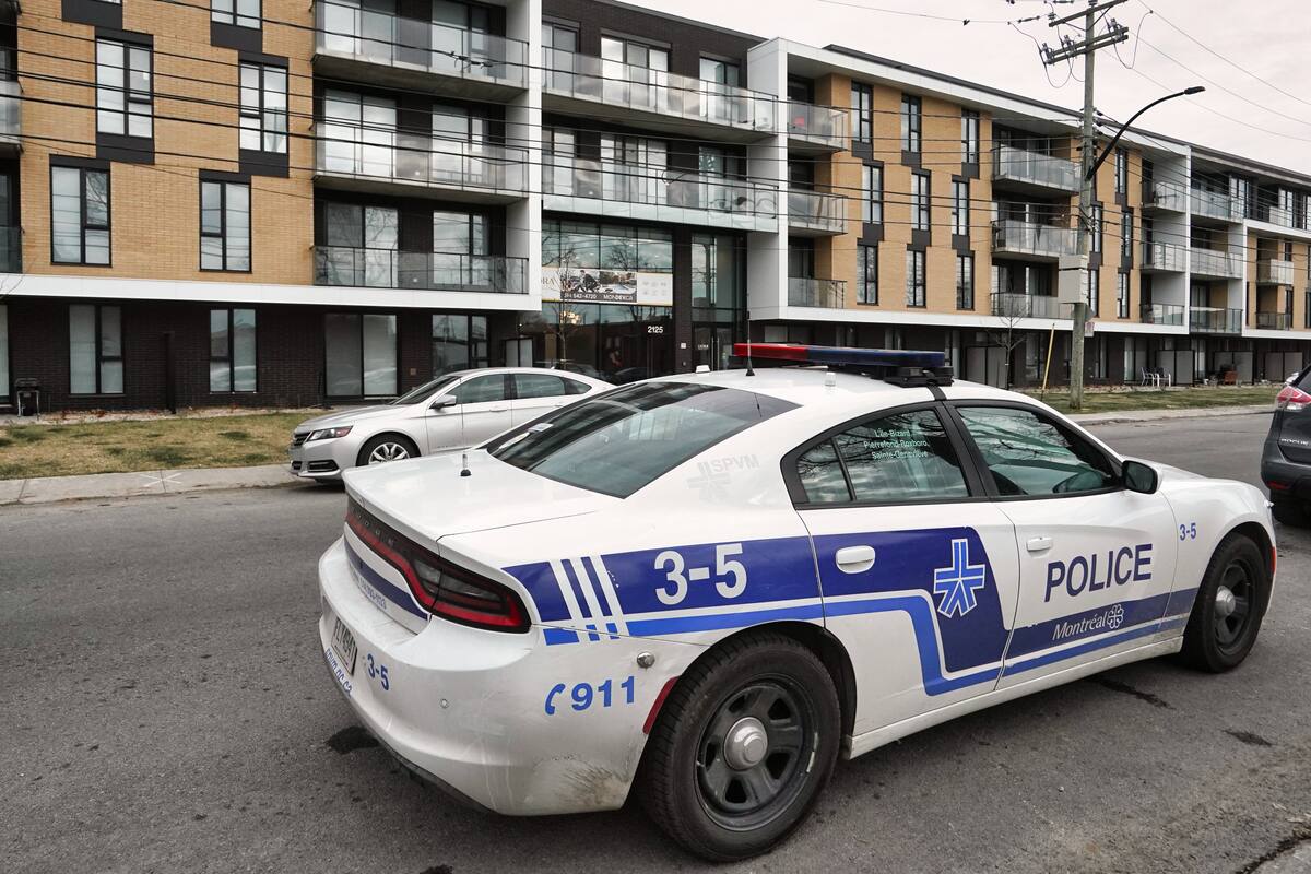 Meurtre de Brandon Jean Célestin: l’étau se resserre sur le tueur | TVA ...