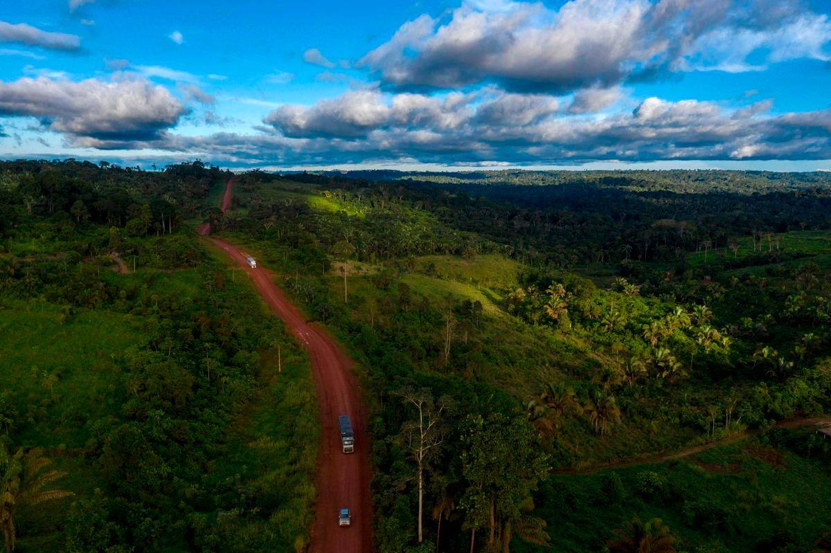 Sur la route à travers l’Amazonie, l’asphalte mange la forêt | JDM