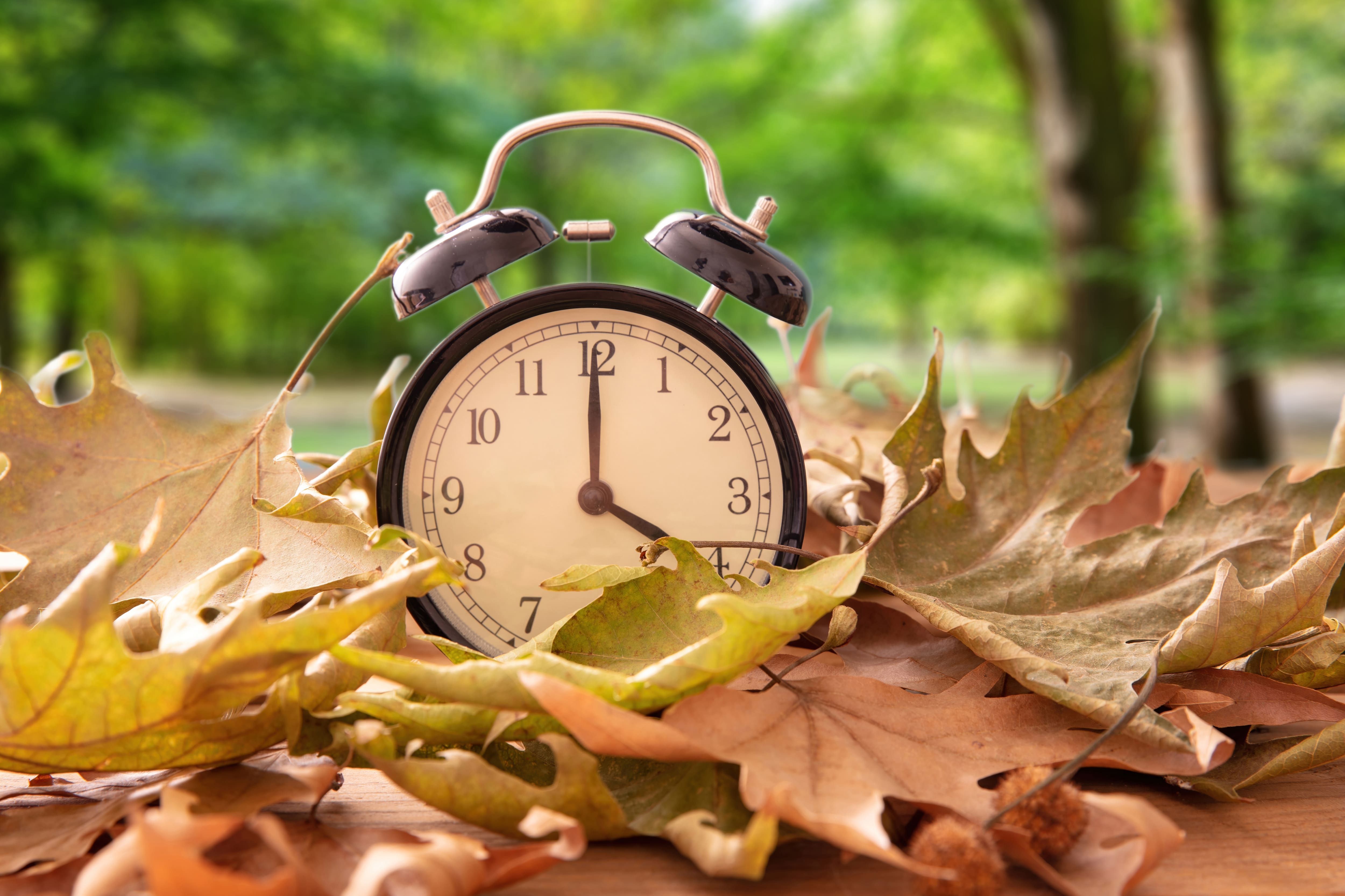 Changement d’heure: quand reculer sa montre cet automne? | JDM