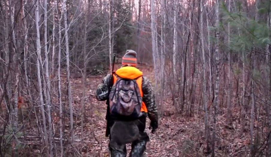 Saison de chasse: les réserves fauniques s'ajustent | TVA Nouvelles