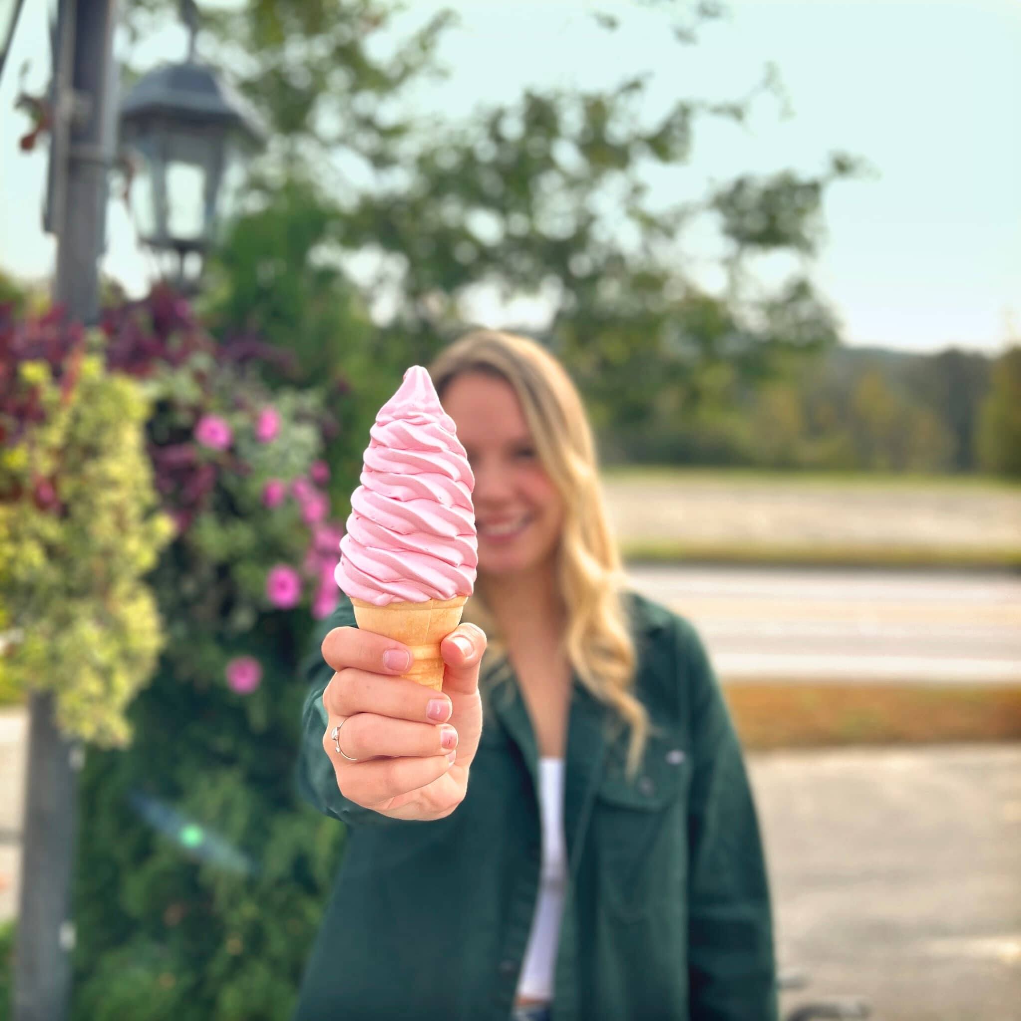 Crème glacée et vacances : 20 crèmeries incontournables aux quatre ...