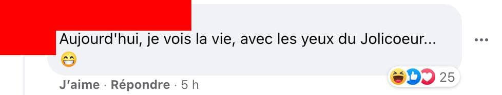 La STM fait fureur sur Facebook avec un jeu de mots inspiré d’une ...