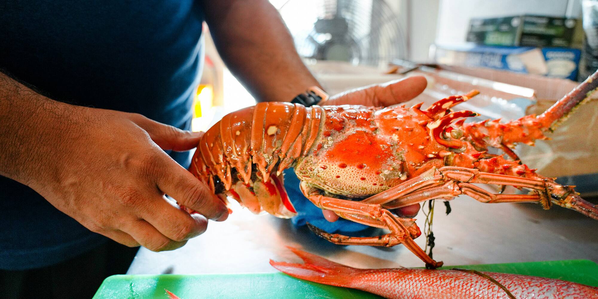 Voici comment cuire parfaitement un homard frais | Salut Bonjour