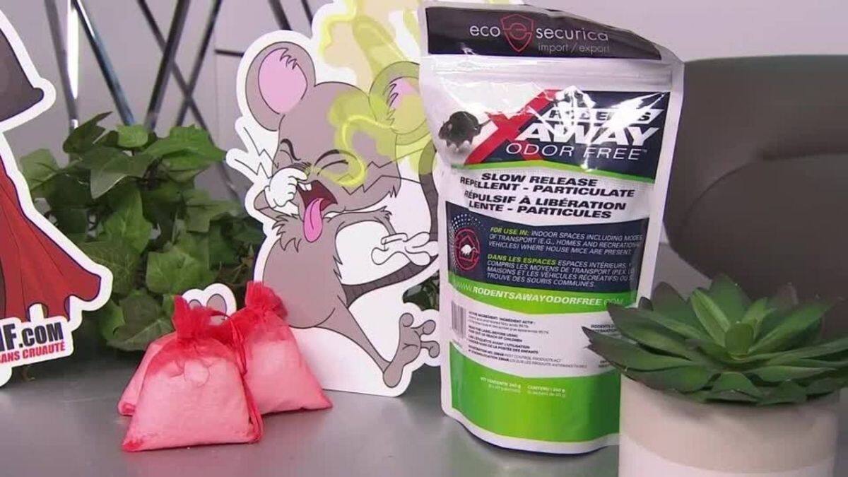 C'est bon à savoir: ROD le répulsif | Salut Bonjour