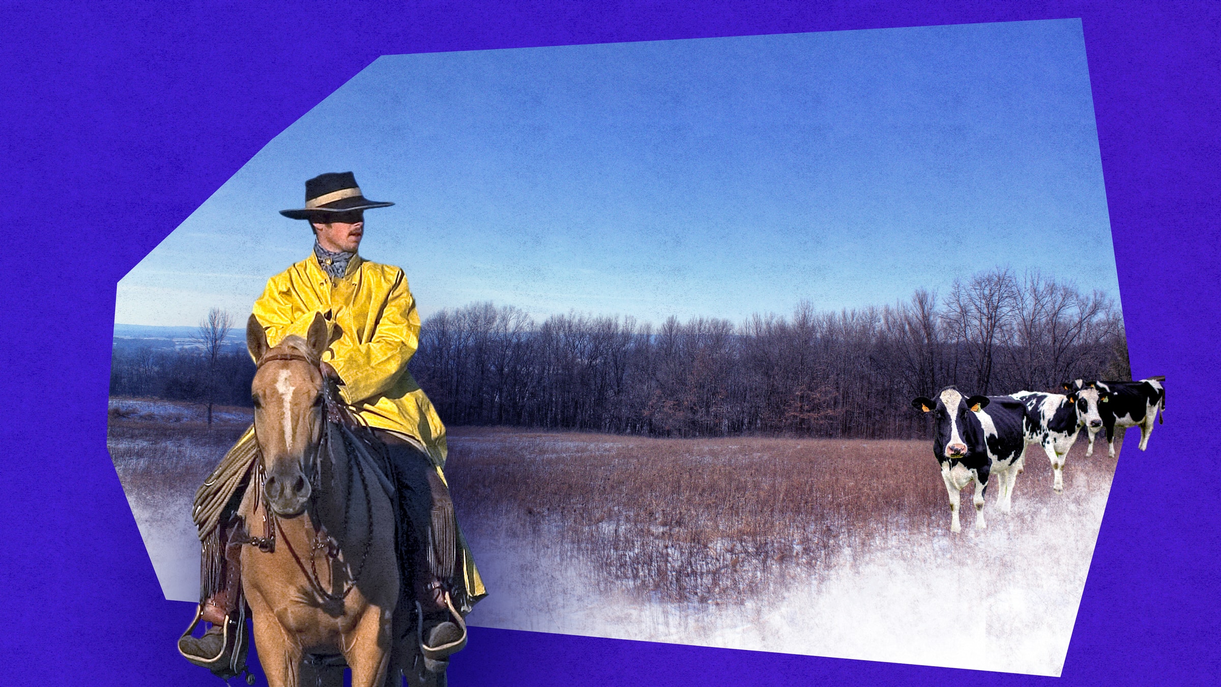 On a jasé à l’un des cowboys dépêchés à Saint-Sévère pour attraper les ...