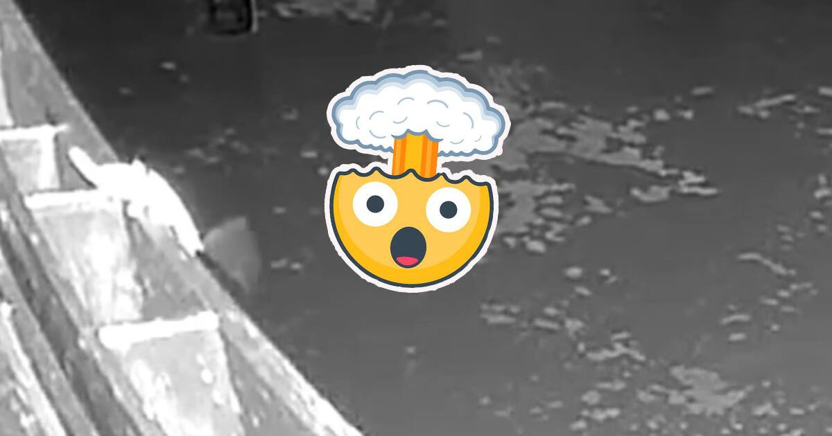 Bokep hijab sotwe.com the photos may are not her but