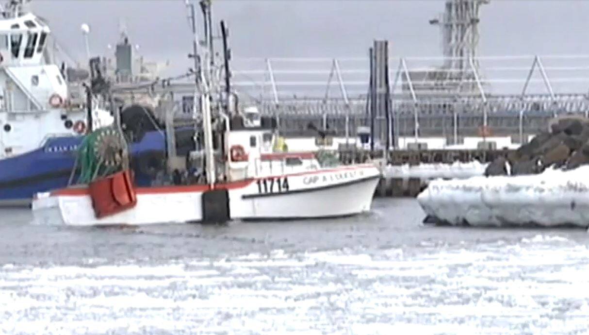 La crevette de Matane victime des changements climatiques | TVA Nouvelles
