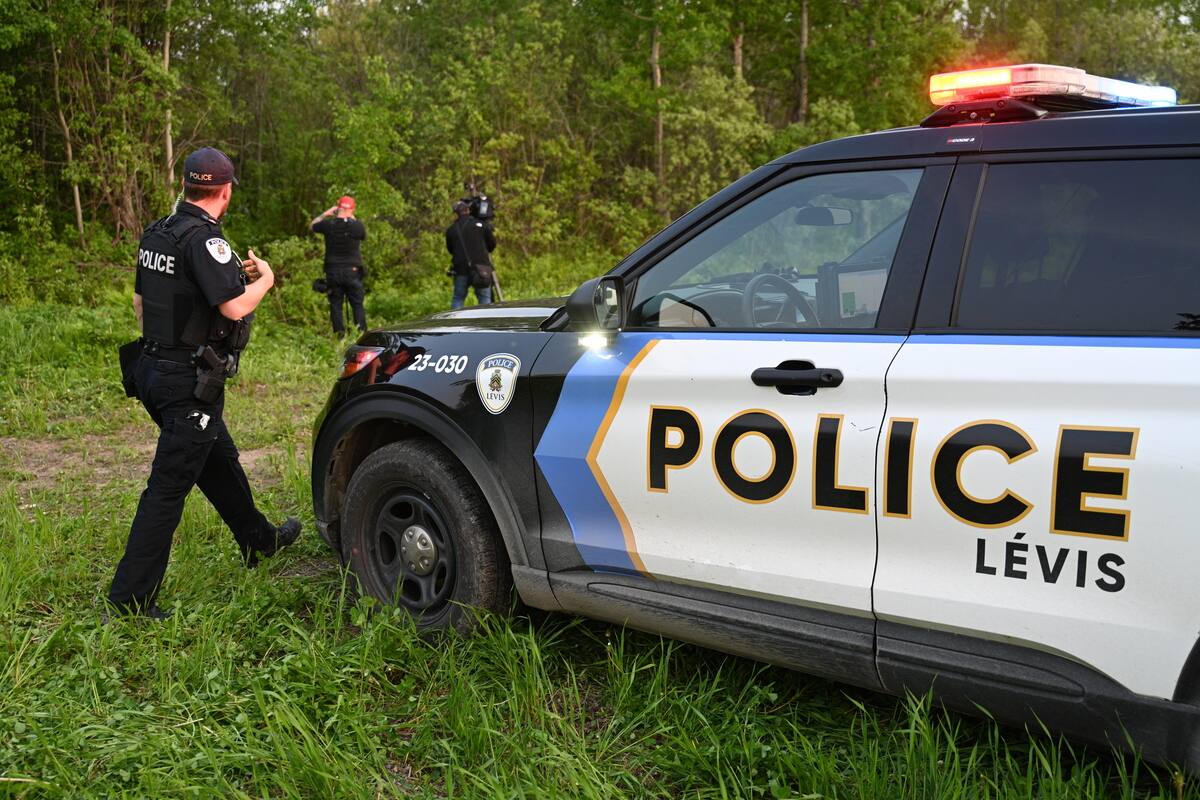 [PHOTOS] Un petit appareil s’écrase dans un boisé à Lévis: le pilote est décédé | JDQ