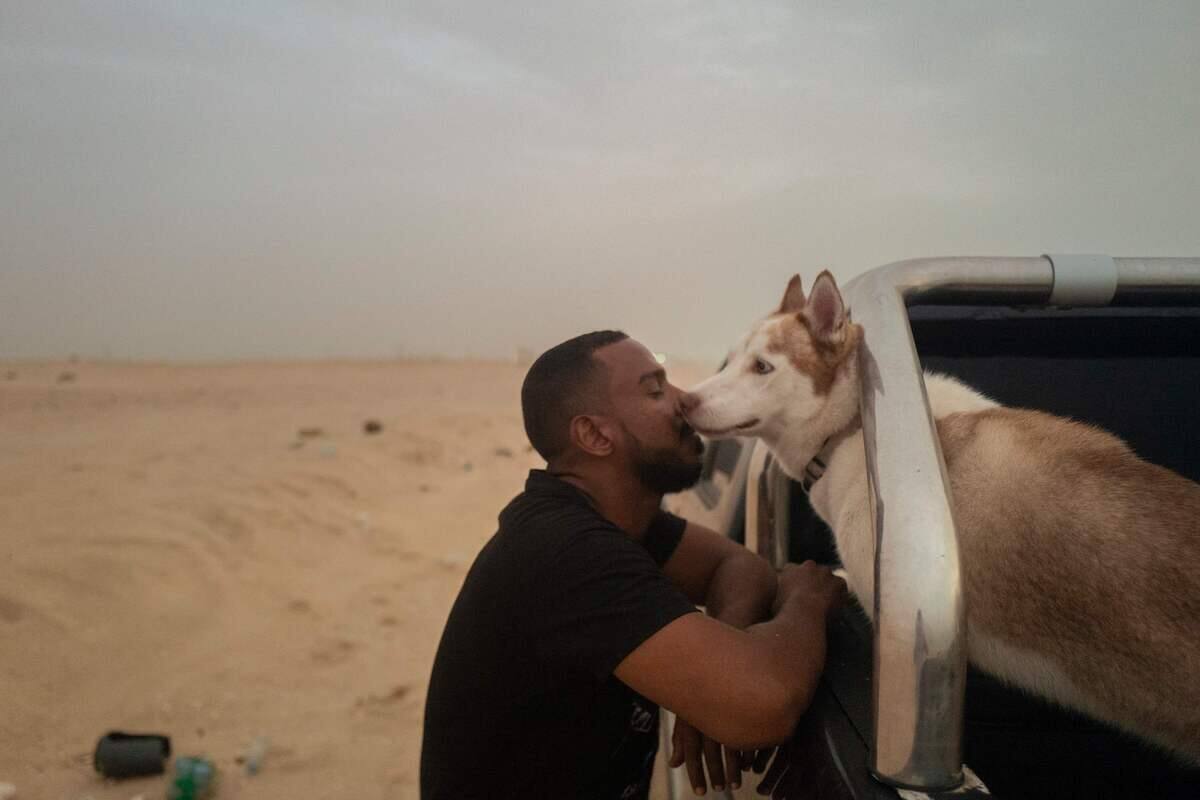 Pourquoi le husky est désormais à la mode dans le Sahara? | JDM