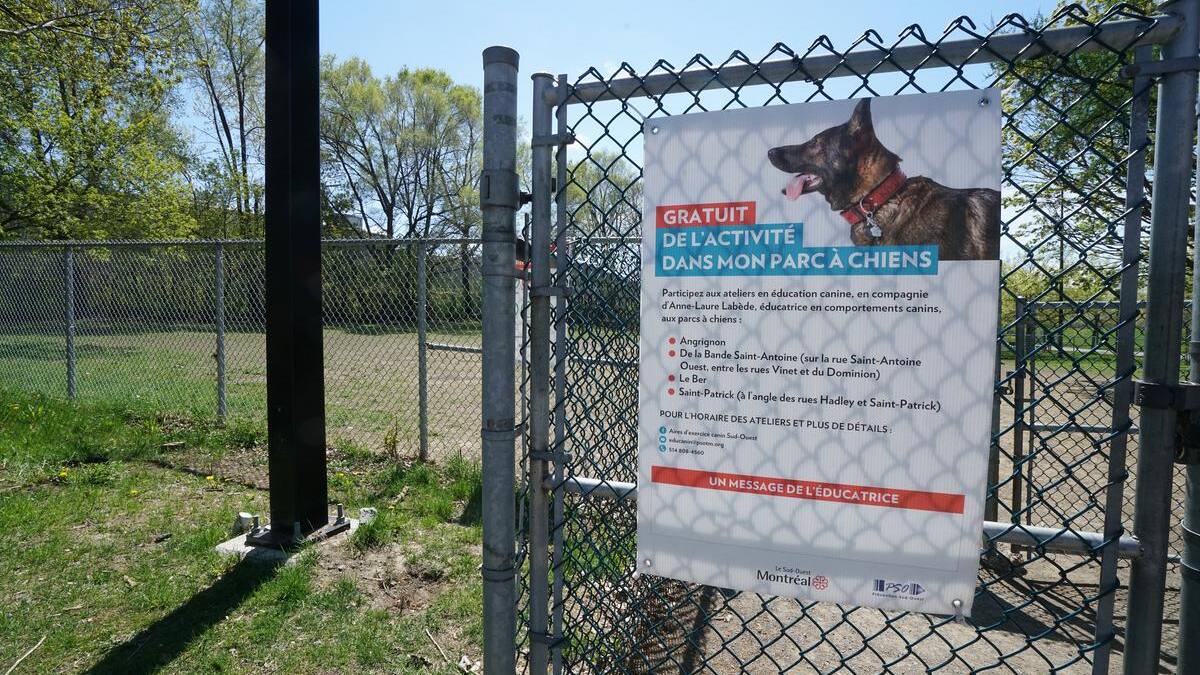 Trois nouveaux parcs canins à Lévis d’ici 2024 | JDQ Trois nouveaux parcs canins à Lévis d’ici 2024 | JDQ