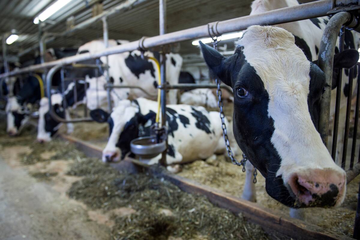Des chercheurs pourraient avoir identifié l’origine de la maladie de la ...