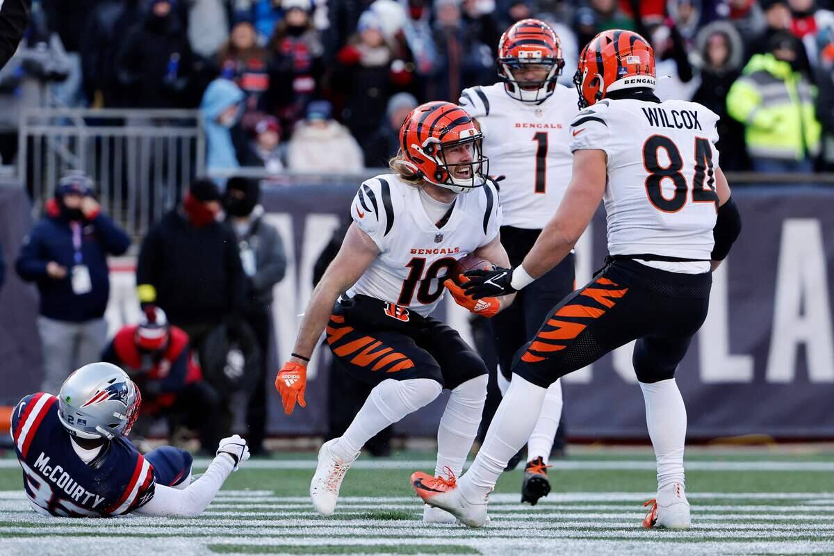 Les Bengals sont champions de leur section - TVA Sports