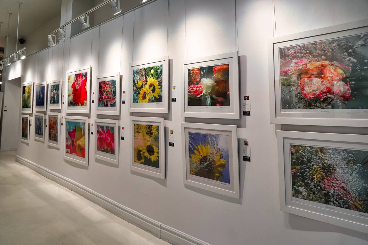 Un 2e vernissage mère-fille pour Mireille Tessier Bourbeau et Pascale ...