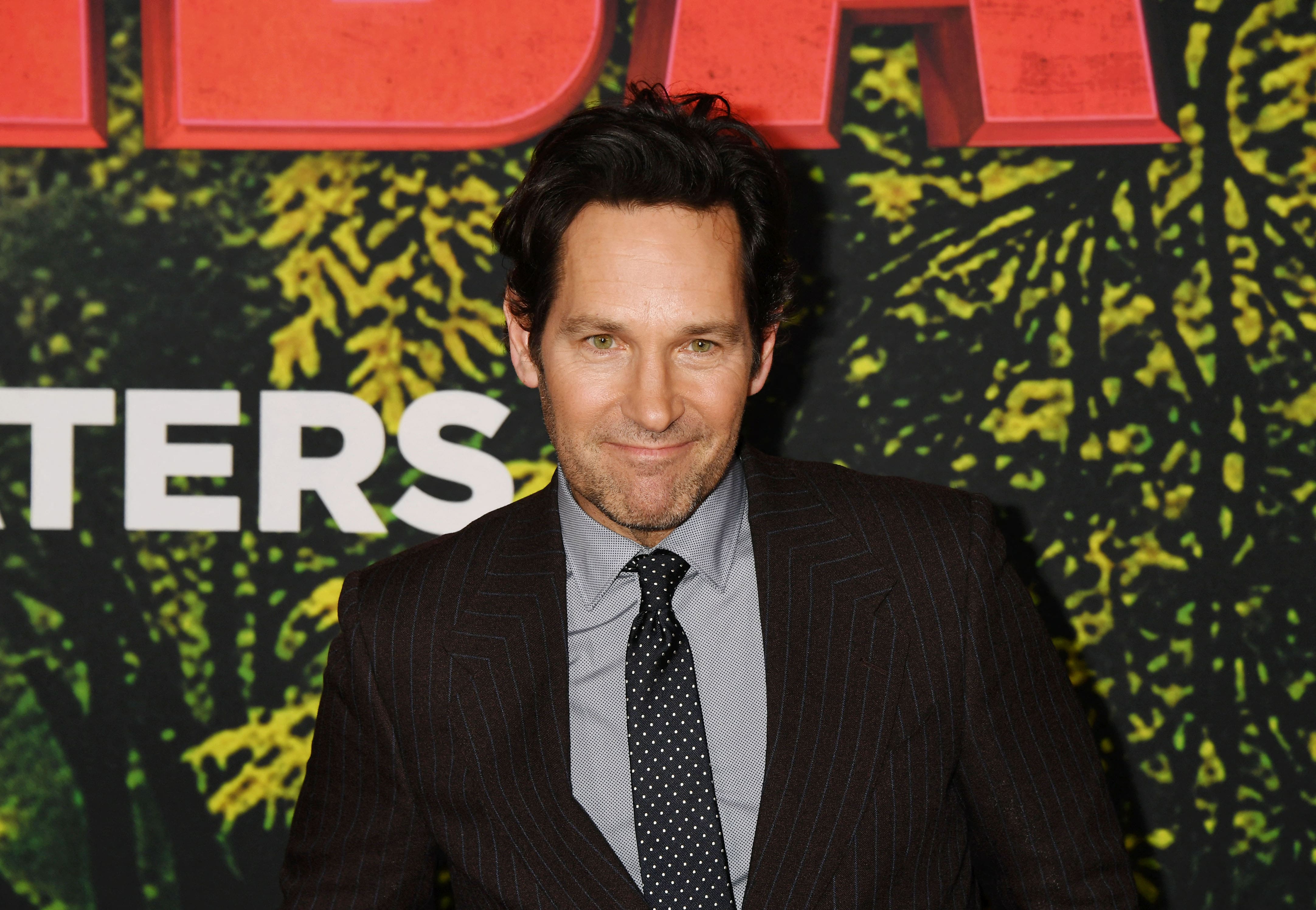 Paul Rudd Lied on His Resume: What We Know - World Today Journal