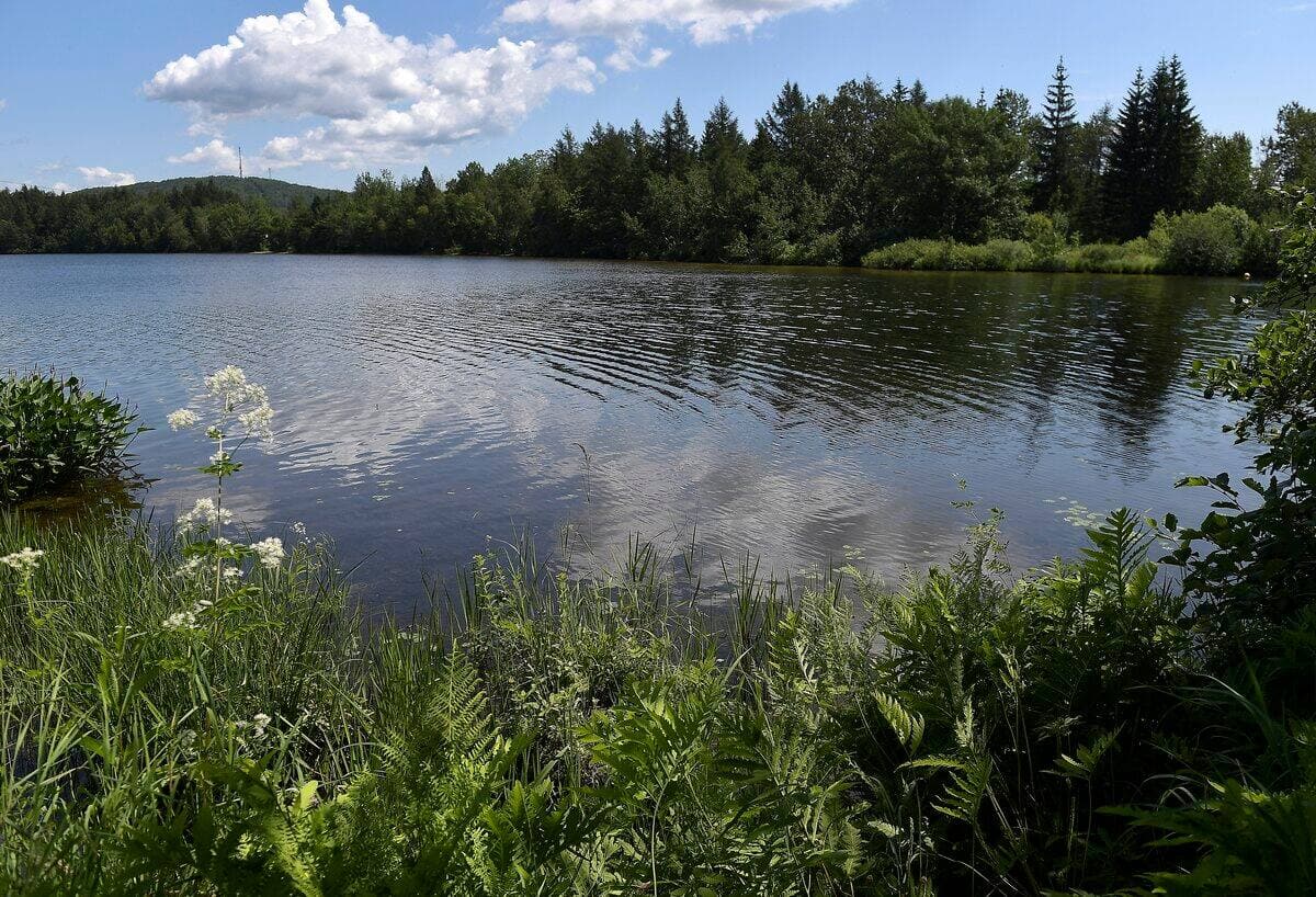 Principale source d'eau potable à Québec: 60 M$ pour la protection du ...