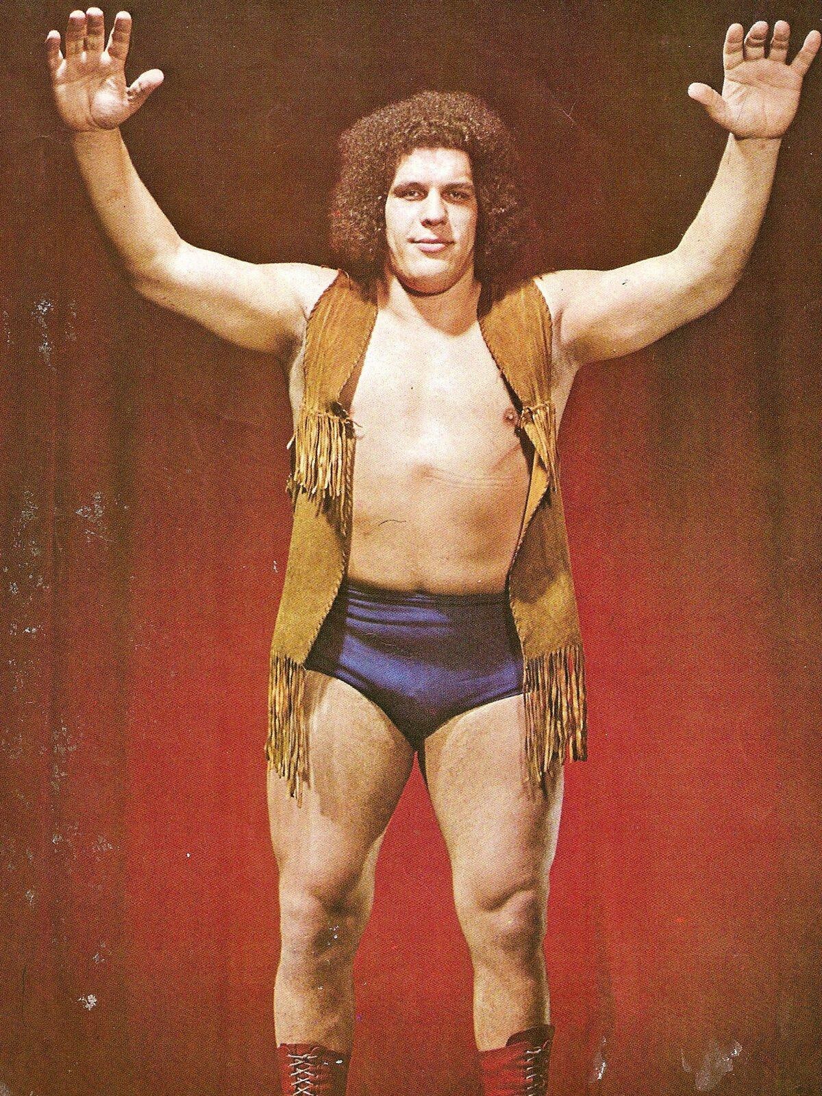 «Le géant Ferré» de Pat Laprade et Bertrand Hébert: la vie d’un lutteur ...