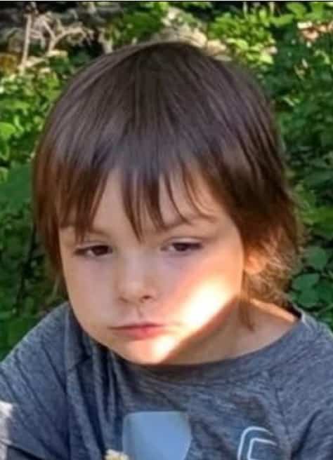 Garçon de 5 ans disparu en forêt en Alberta: «La probabilité de survie ...