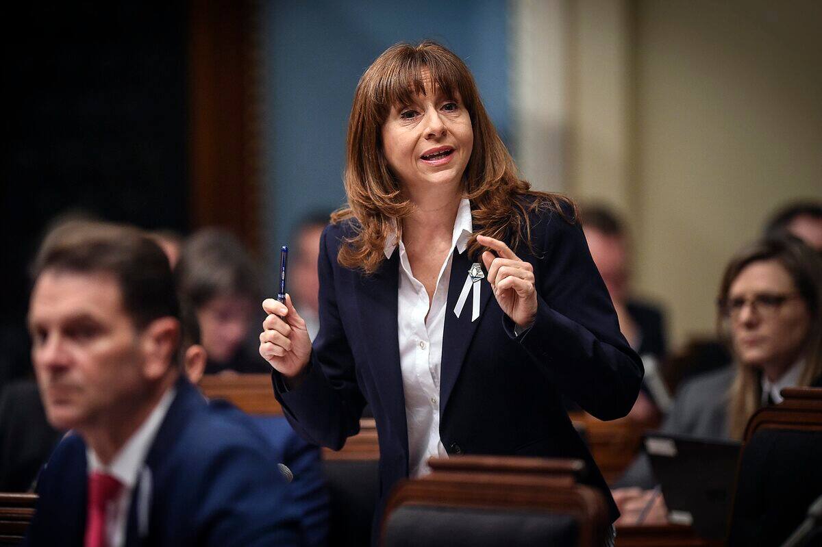 SODEC : Québec accorde 20 millions $ pour les créateurs québécois | TVA ...