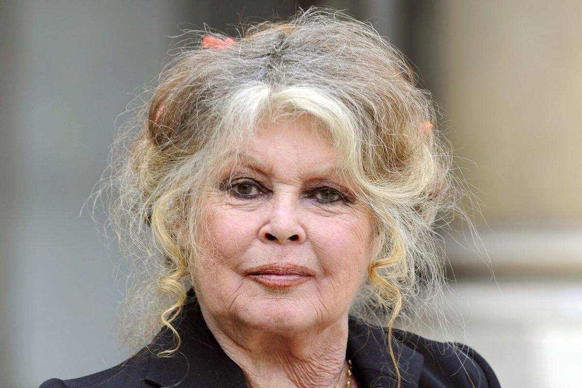Madame Bardot | Le Journal de Montréal