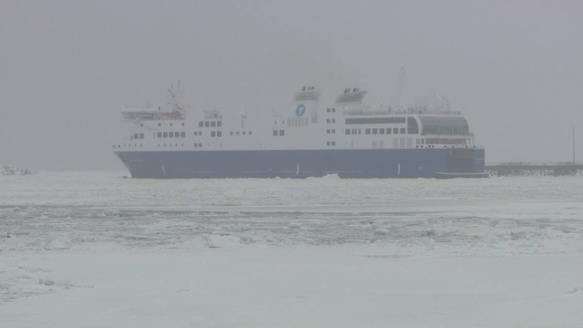 Horaire ajusté pour la traverse Matane-Baie-Comeau-Godbout | JDM