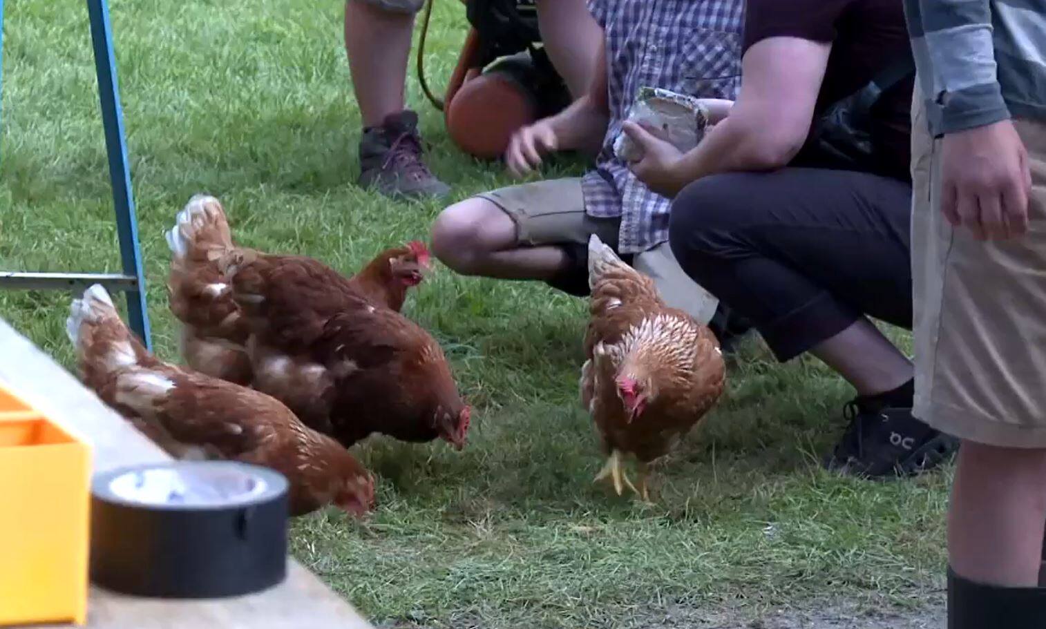 «Coco Ferme» est le nouveau film des Contes pour tous | TVA Nouvelles