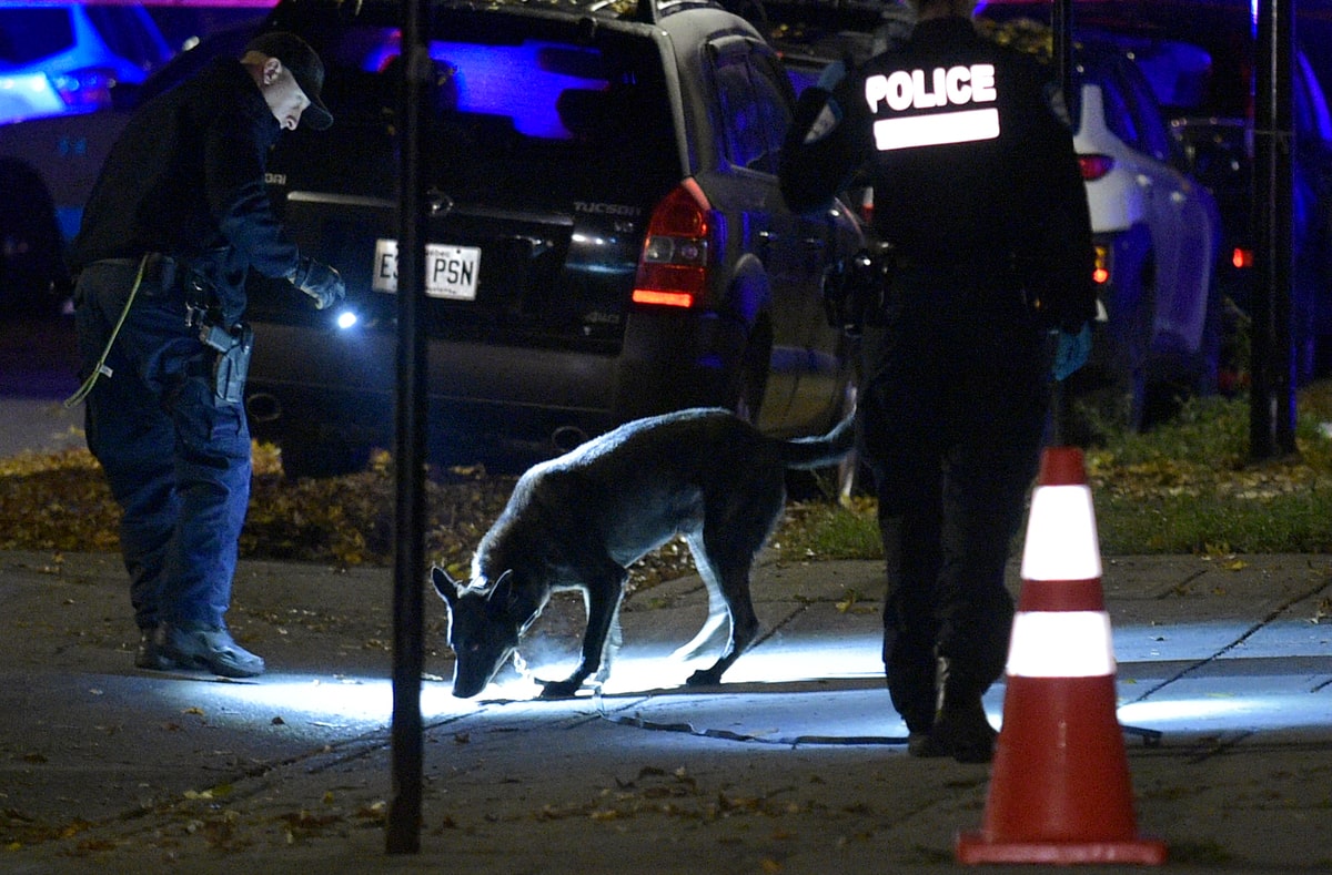 Des coups de feu ont retenti dans le quartier Sud-Ouest à Montréal ...