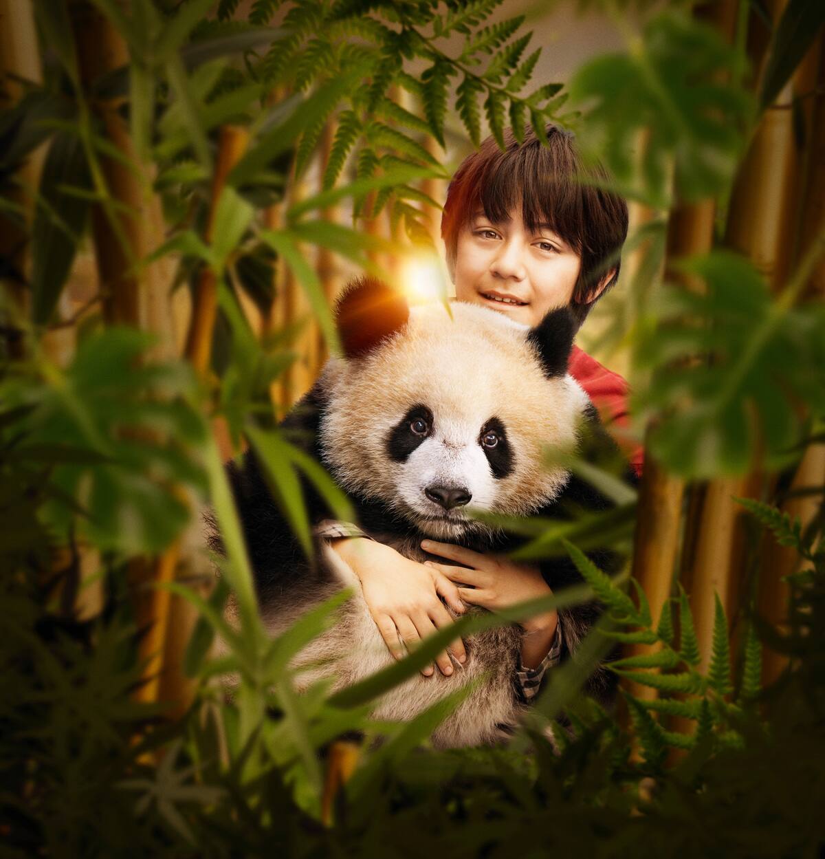 Critique de «Moon le panda»: qu’y a-t-il de plus mignon qu’un bébé ...