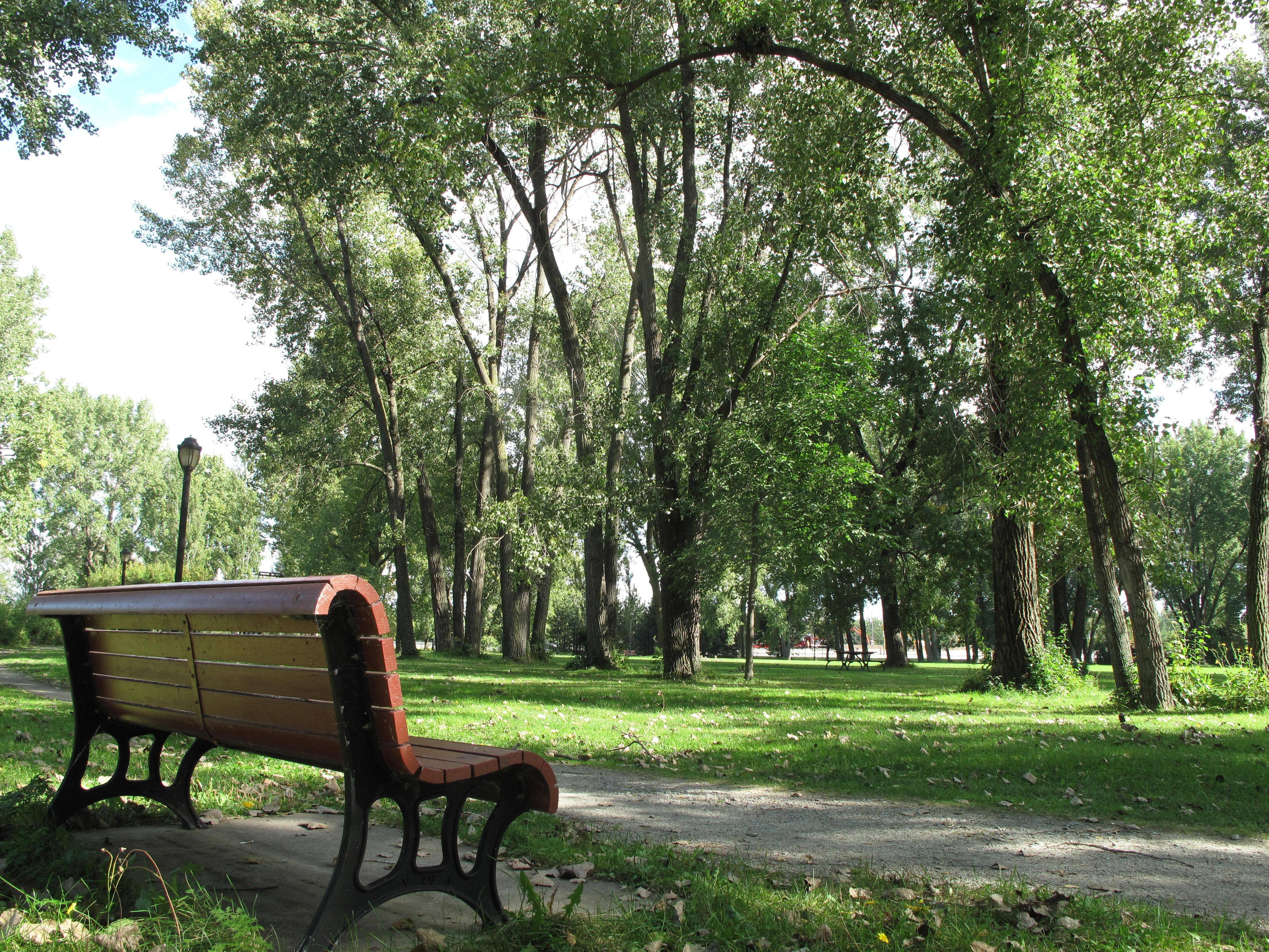 Un nouveau projet de corridor vert de 27 km à Montréal | TVA Nouvelles