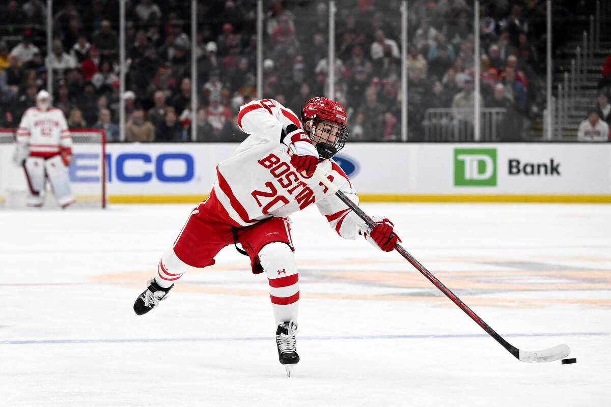 Lane Hutson, Jacob Fowler, Luke Tuch et Sam Harris: quatre espoirs du ...