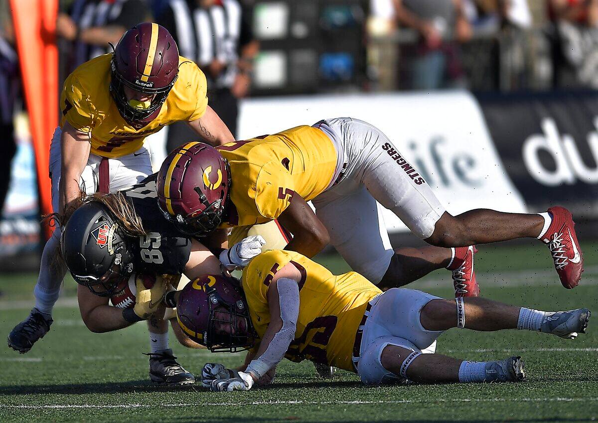 RSEQ: Les Stingers confirment leur troisième position | JDM